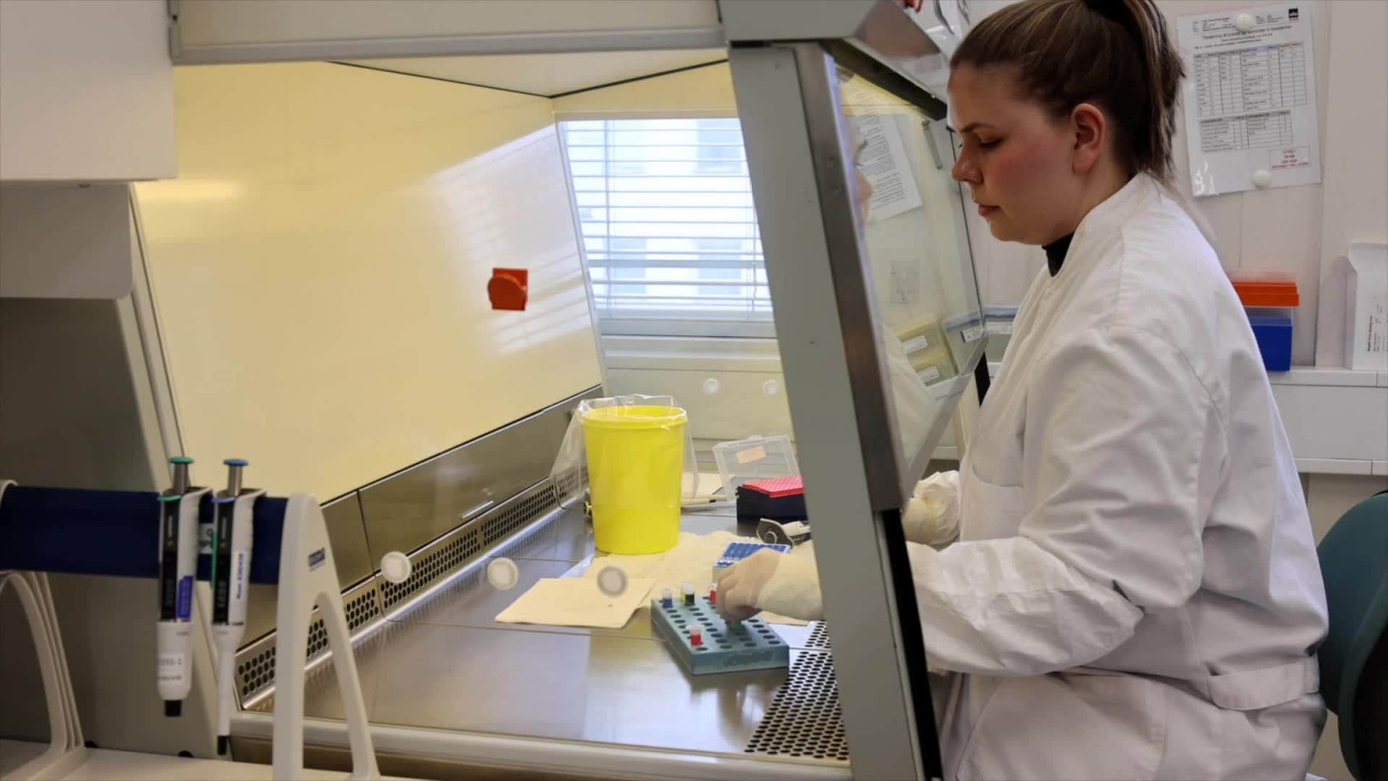 Information til virksomheder om praktik på laborantuddannelsen.